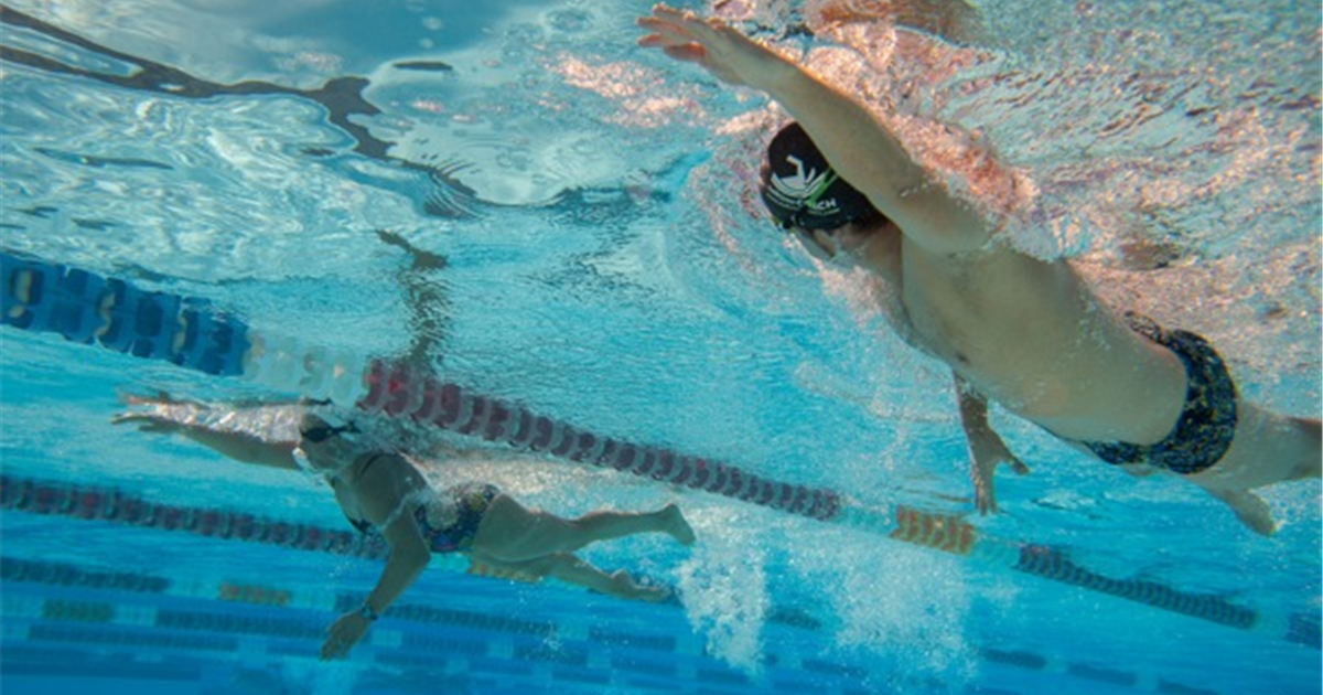 Swim Smooth Guru: Learn to become a faster and more efficient swimmer